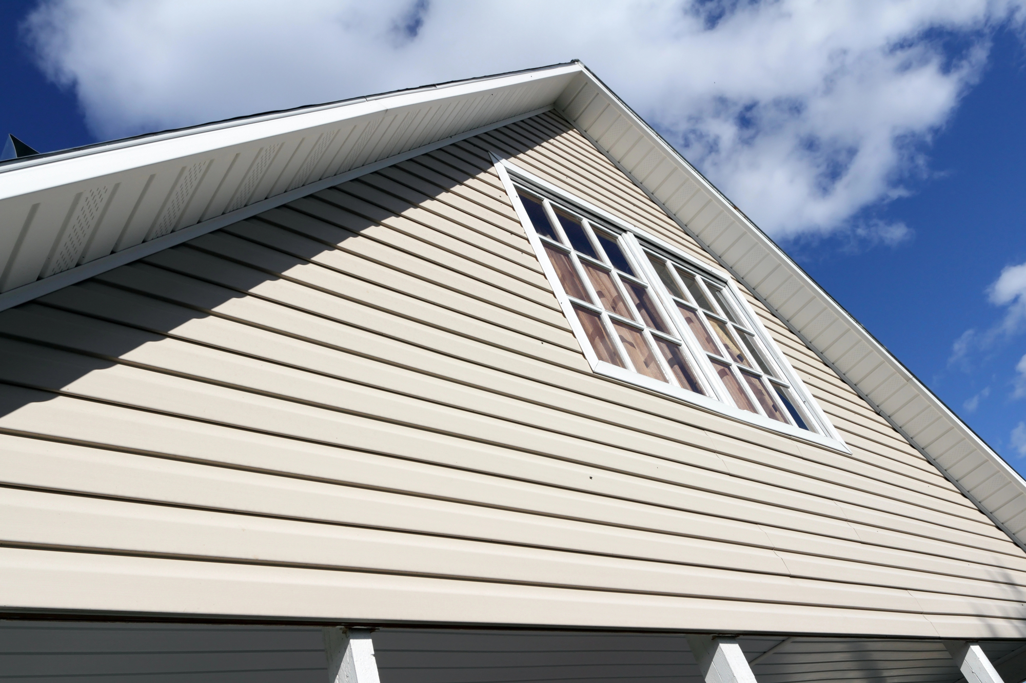 Protect Your Home from Termites | Big Easy Siding